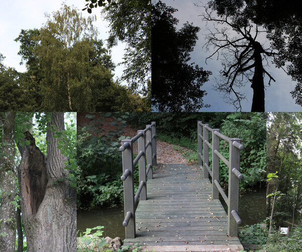 ArtStation - Forest Reference Pack Vol. 1 | Resources