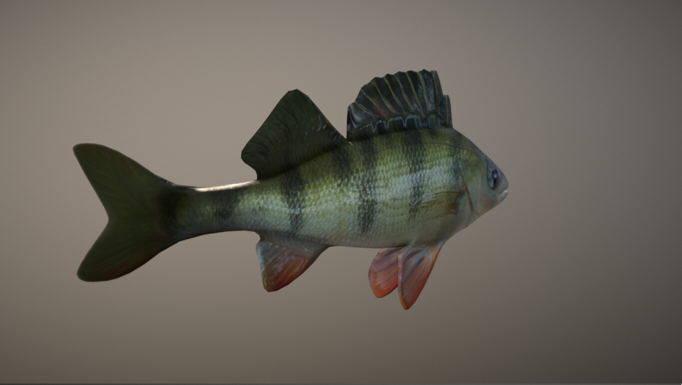 ArtStation - Bass - Fish | Game Assets