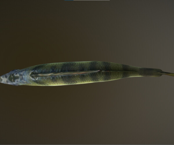 ArtStation - Bass - Fish | Game Assets