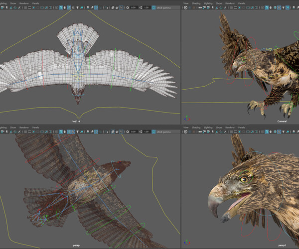 ArtStation - Animated Hawk | Resources