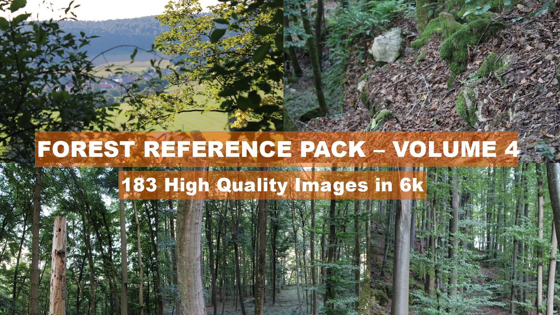 ArtStation - Forest Reference Pack Vol. 4 | Resources