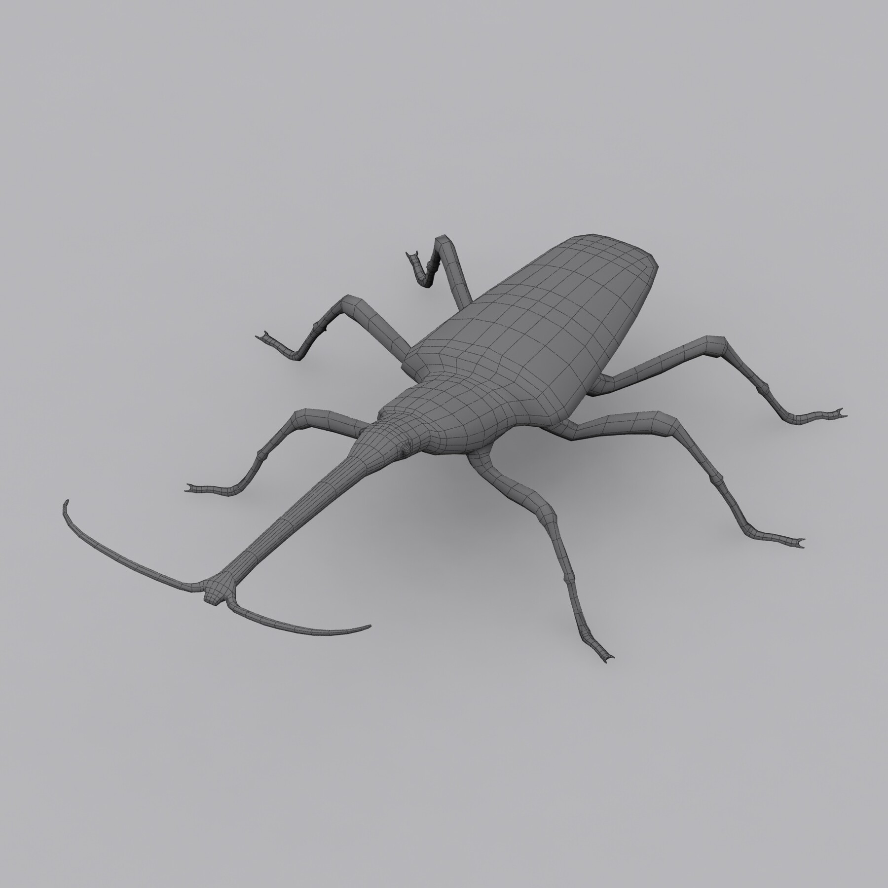 ArtStation - New Zealand giraffe weevil | Resources