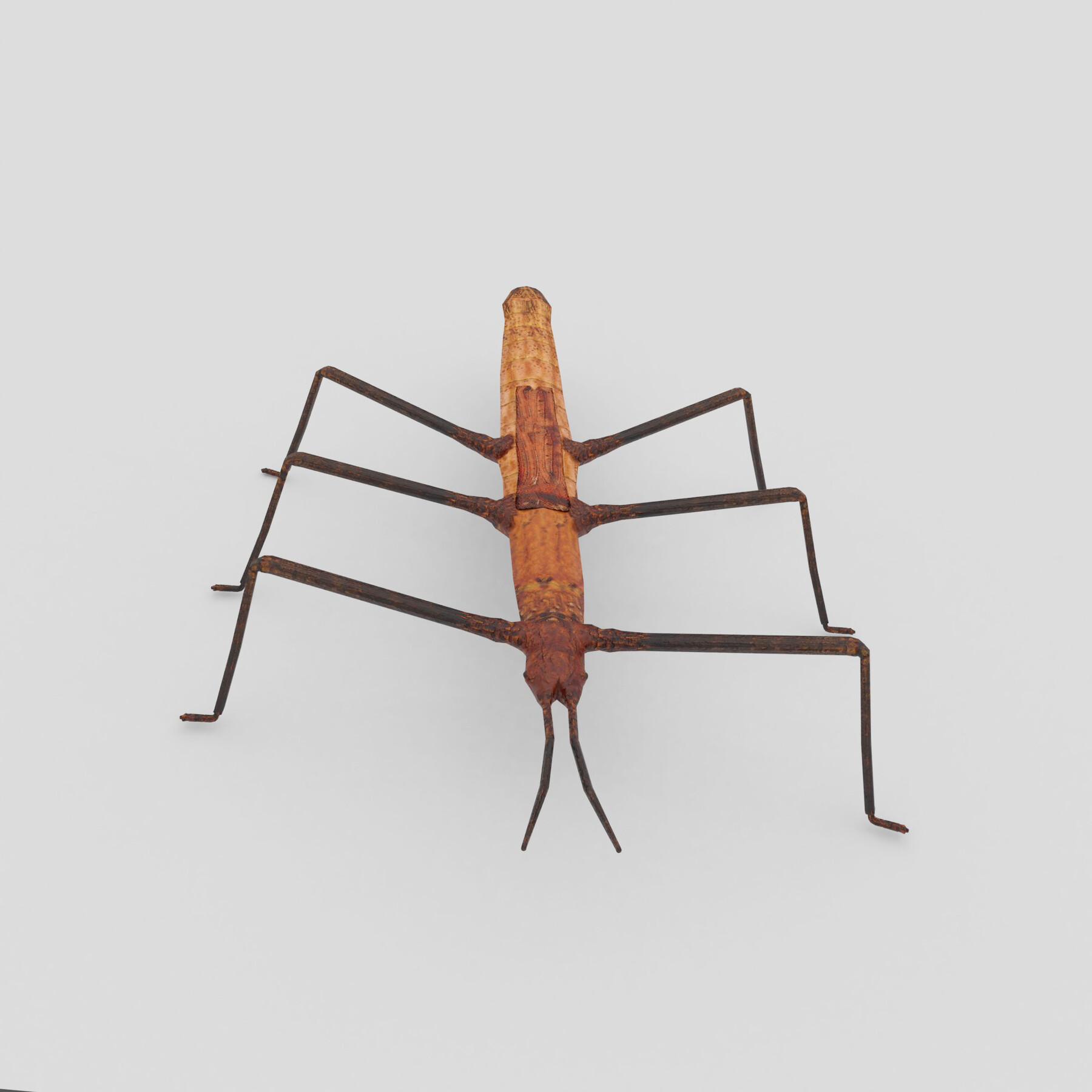 ArtStation - Stick Insect | Resources