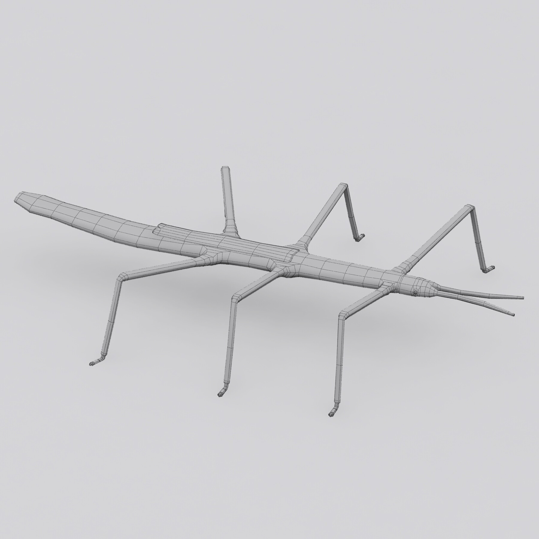 ArtStation - Stick Insect | Resources