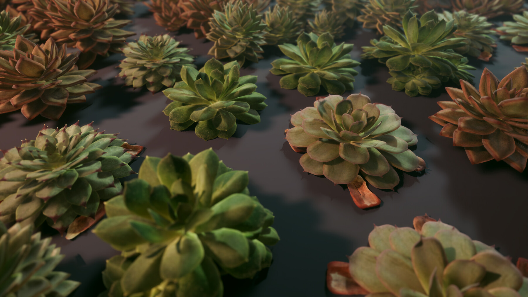 ArtStation - Succulents Package | Game Assets