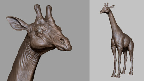 ArtStation - CAT - sculpt/retopology/uvs | Resources