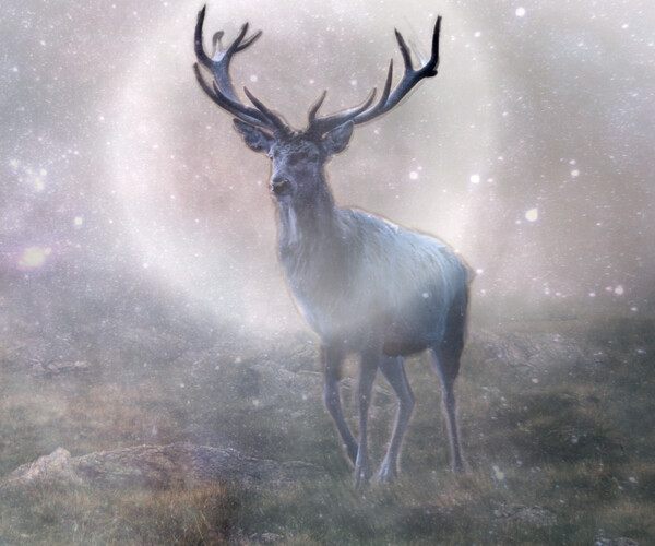 ArtStation - Magic Deer | Artworks