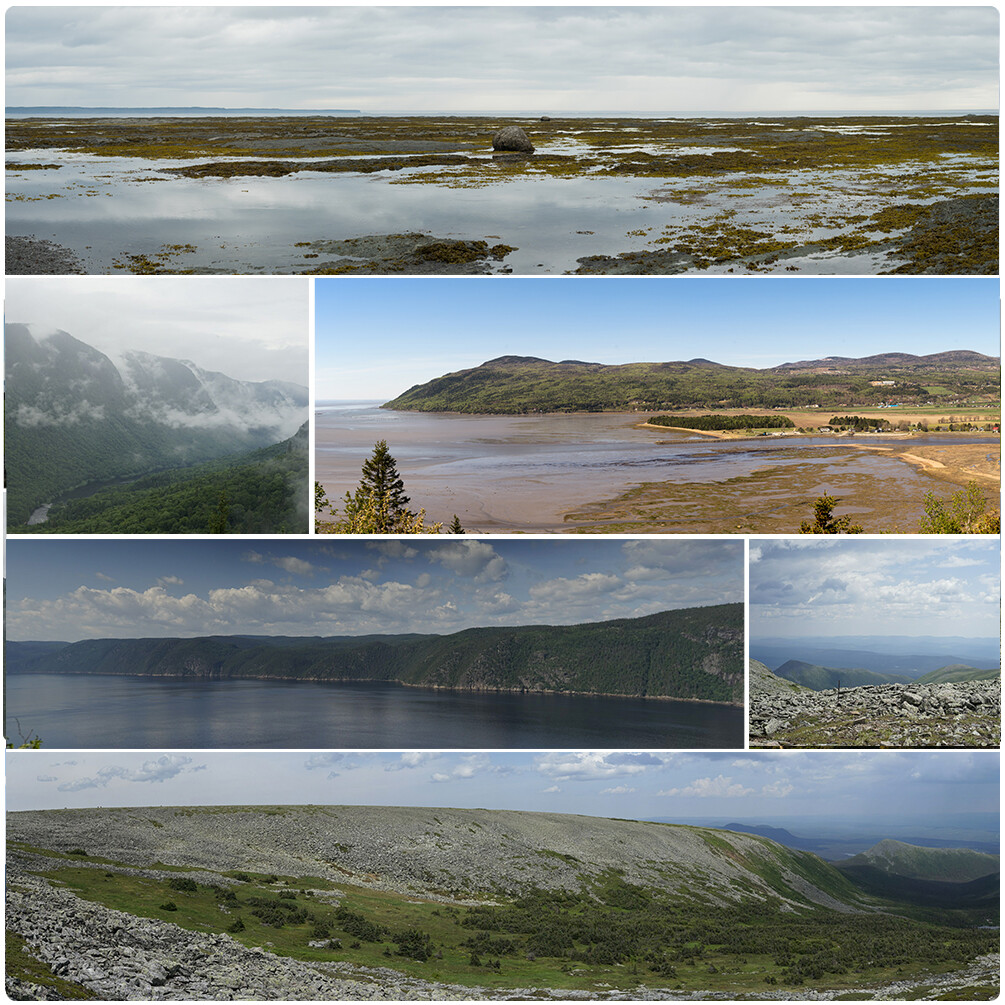 ArtStation - Quebec Landscapes , photo reference PACK | Resources