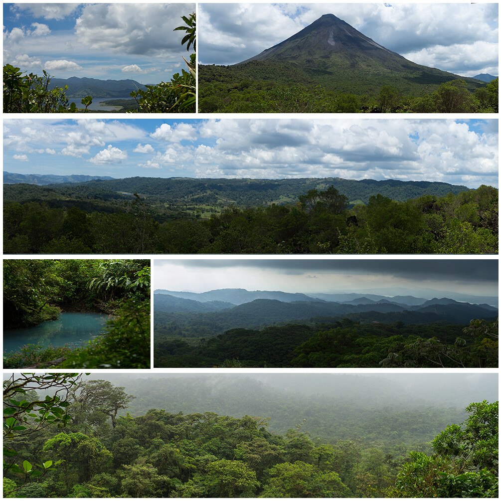 ArtStation - Costa Rica Jungles , reference photo PACK | Resources