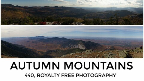 ArtStation - AUTUMN FOREST, References Photography Pack | Resources