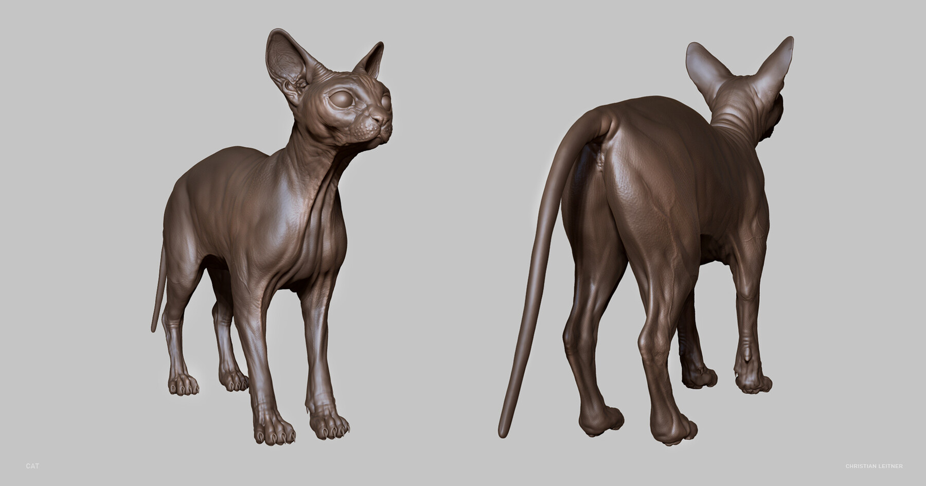 ArtStation - CAT - sculpt/retopology/uvs | Resources