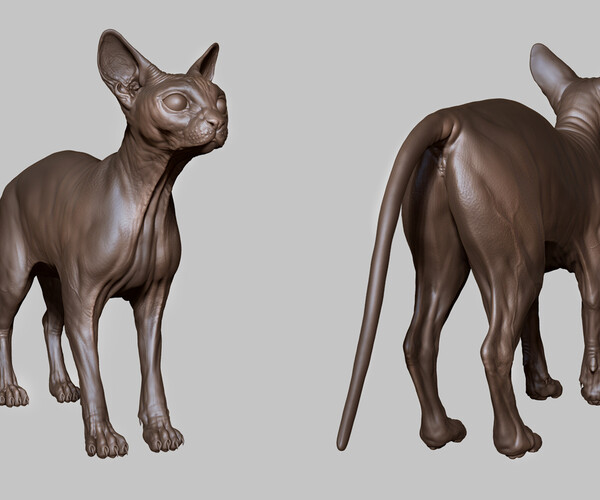 ArtStation - CAT - sculpt/retopology/uvs | Resources