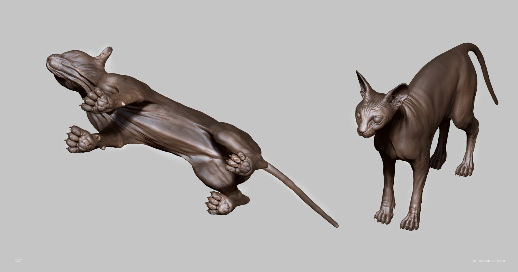 ArtStation - CAT - sculpt/retopology/uvs | Resources