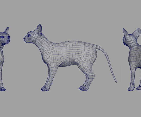 ArtStation - CAT - sculpt/retopology/uvs | Resources