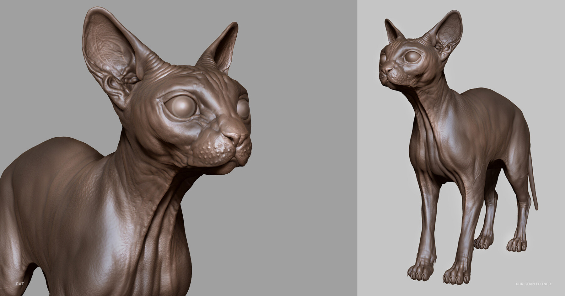 ArtStation - CAT - sculpt/retopology/uvs | Resources