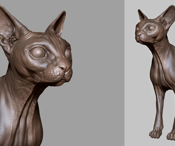 ArtStation - CAT - sculpt/retopology/uvs | Resources