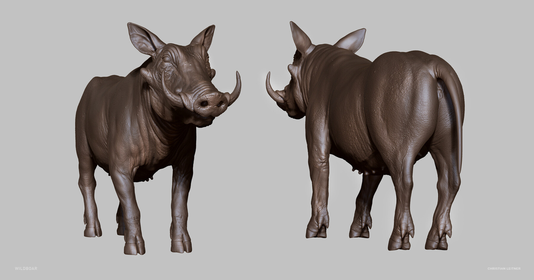 ArtStation - WILD BOAR / PIG - sculpt/retopology/uvs | Resources