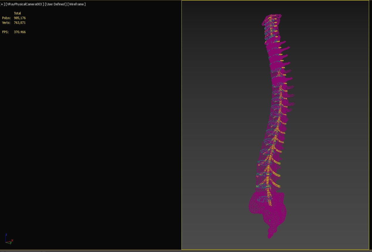 ArtStation - Human Spinal Cord 3D model | Resources