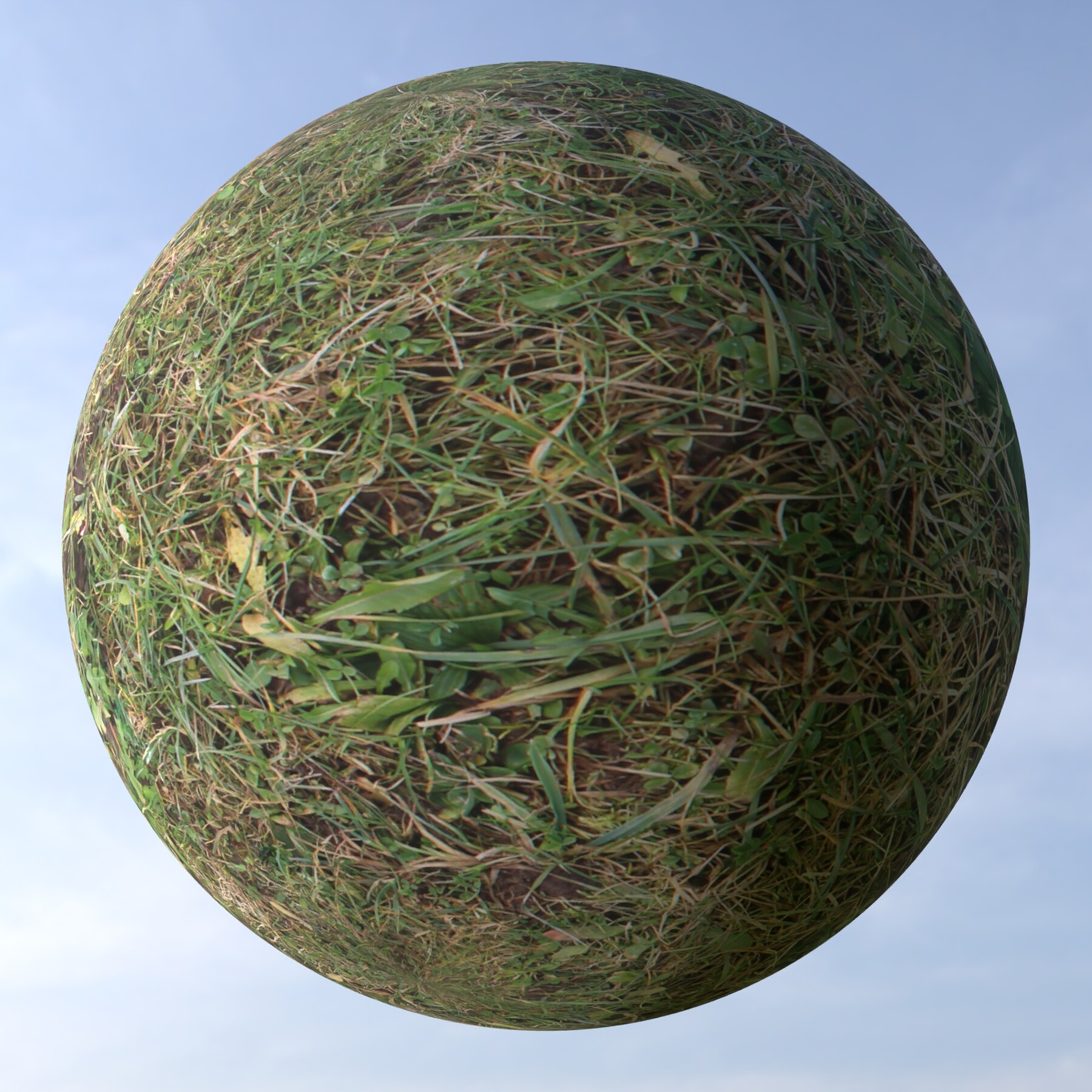 ArtStation - Grass 1 PBR Material | Game Assets