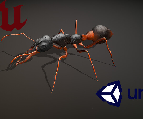 ArtStation - Ant Bulldog | Game Assets