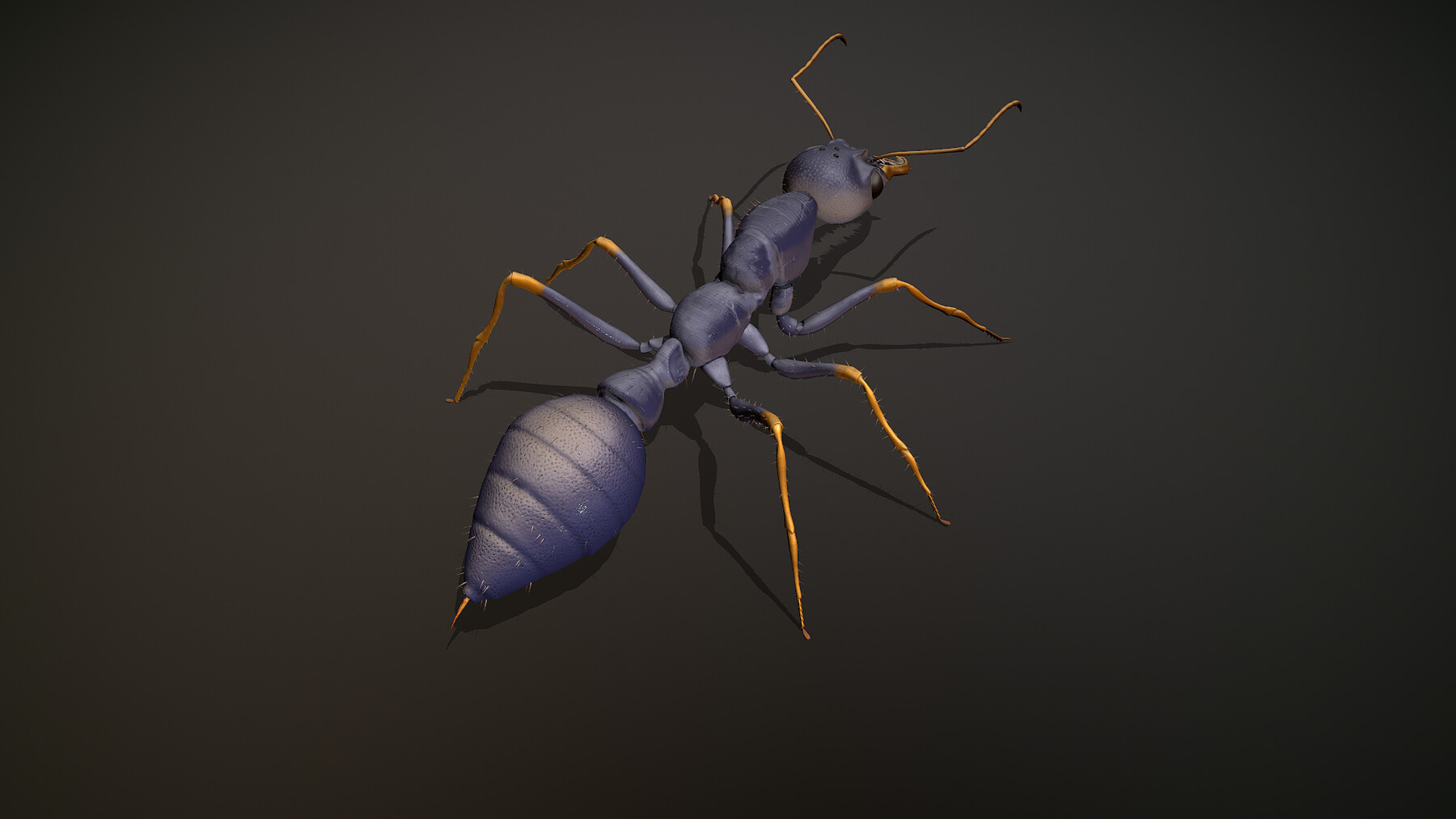 ArtStation - Ant Bulldog | Game Assets