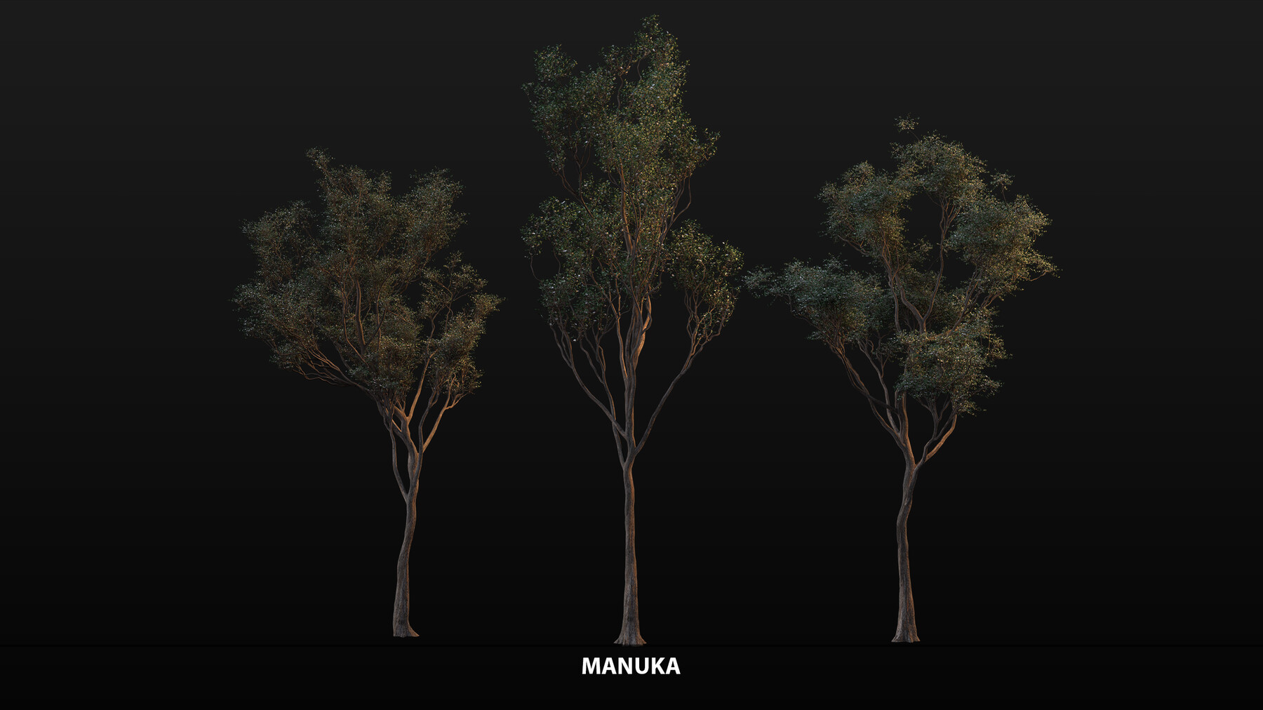 ArtStation - manuka tree asset pack | Resources