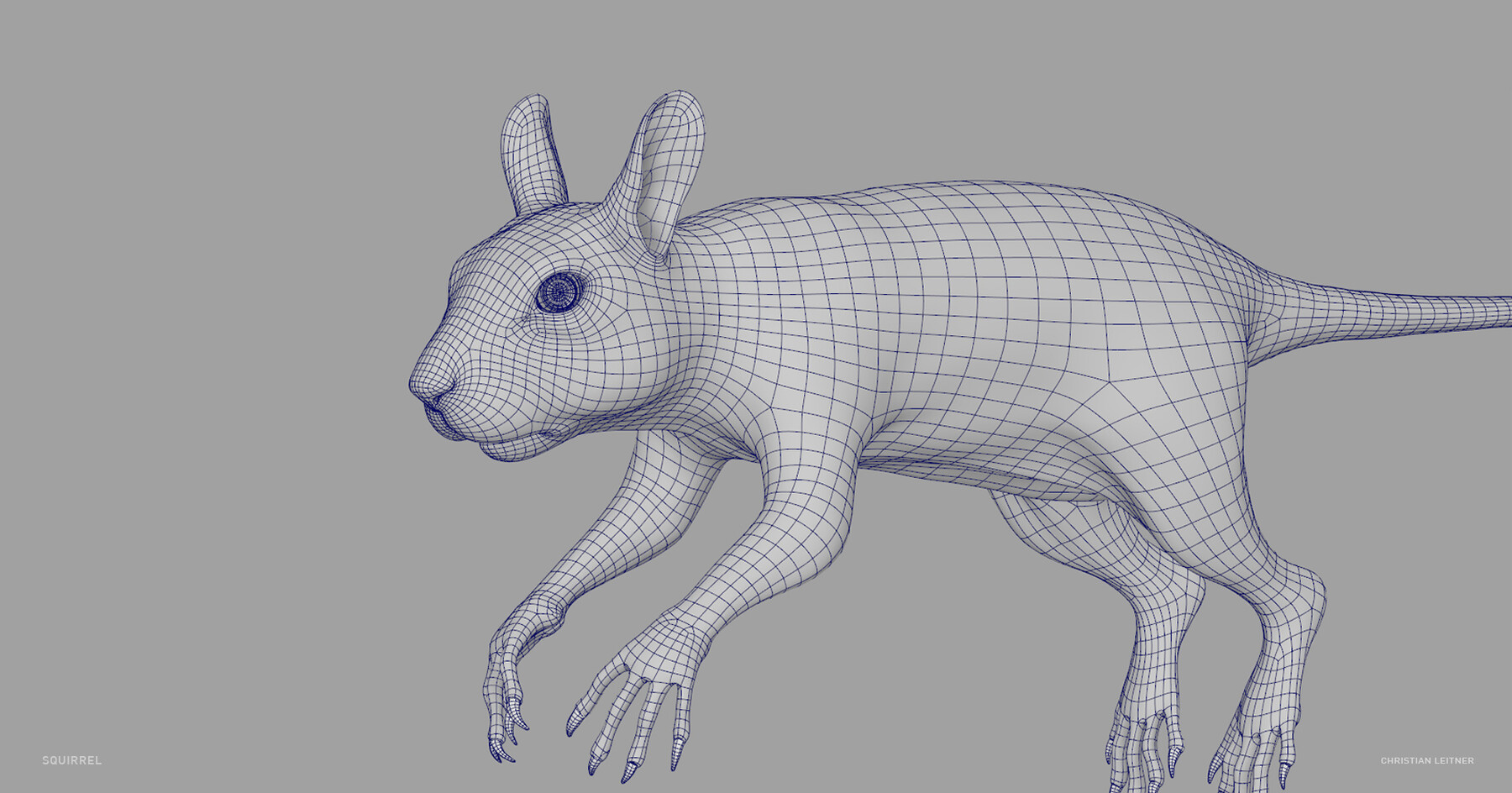 ArtStation - SQUIRREL - sculpt/retopology/uvs | Resources