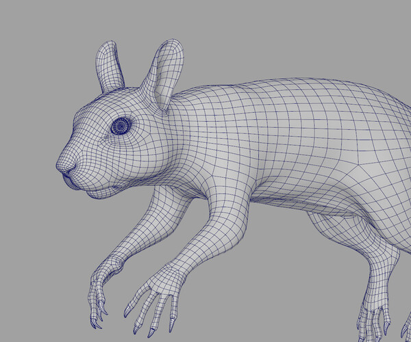 ArtStation - SQUIRREL - sculpt/retopology/uvs | Resources