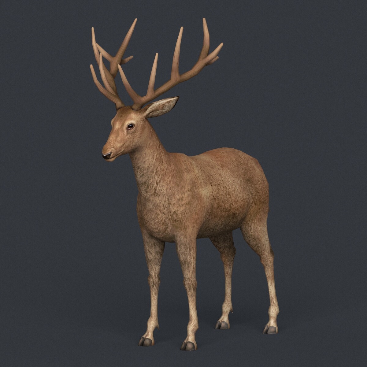 ArtStation - Realistic Deer | Game Assets