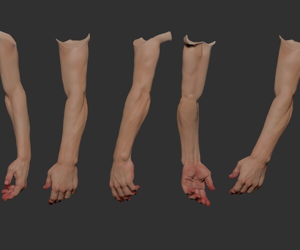 ArtStation - Basic Sketch Arms | Resources