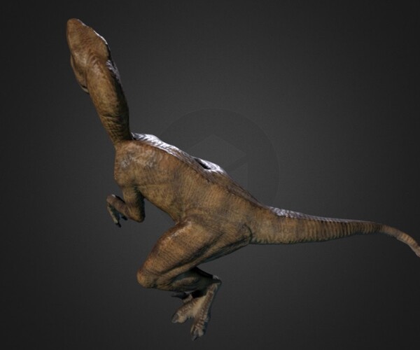 ArtStation - Raptor Photogrammetry | Resources