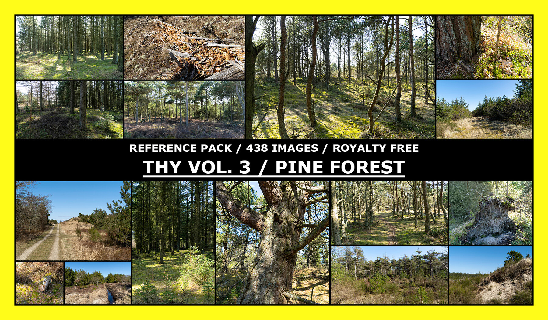 ArtStation - THY VOL.3 - NORDIC PINE FOREST / Photo Reference / 400 ...