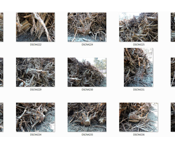 ArtStation - Dead wood : forest exploitation | Resources