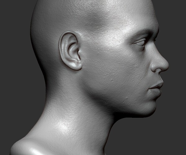 ArtStation - Man Head Base mesh 3D model | Game Assets