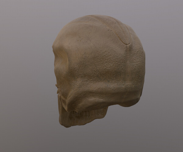 ArtStation - Damaged Skull | Resources