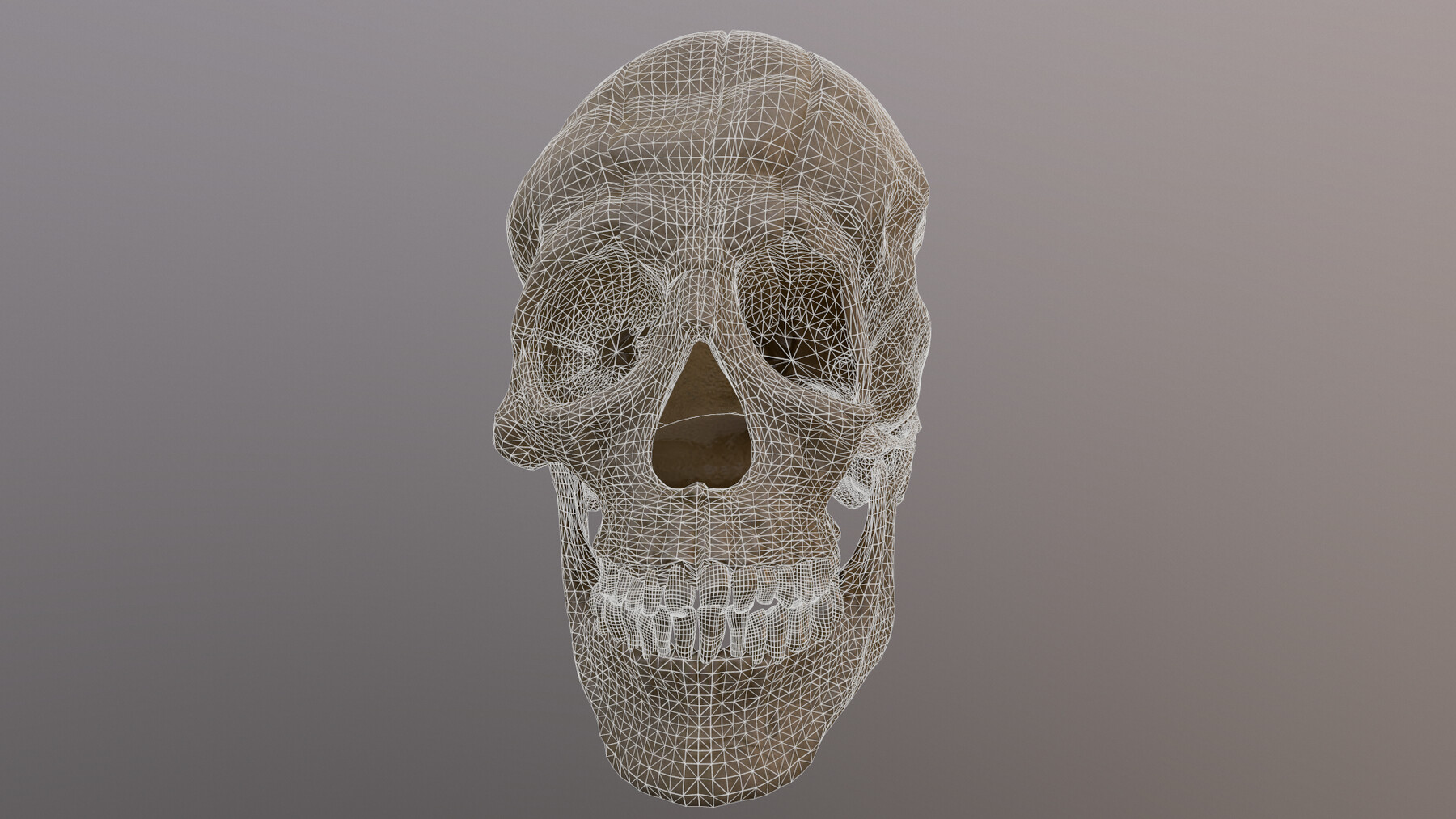 ArtStation - Damaged Skull | Resources