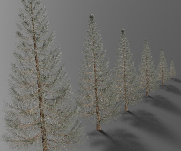 ArtStation - Set of realistic fir trees | Game Assets
