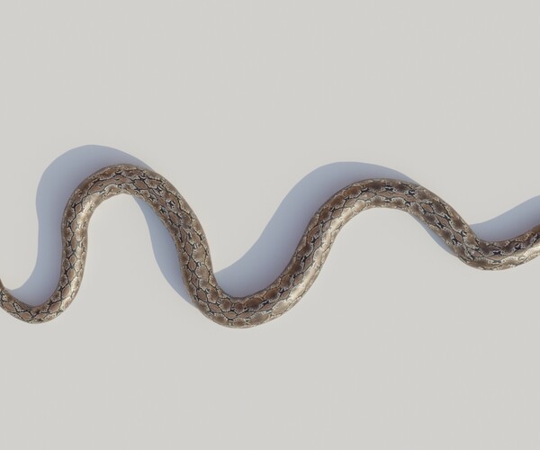 ArtStation - Rigged python 3D model | Resources