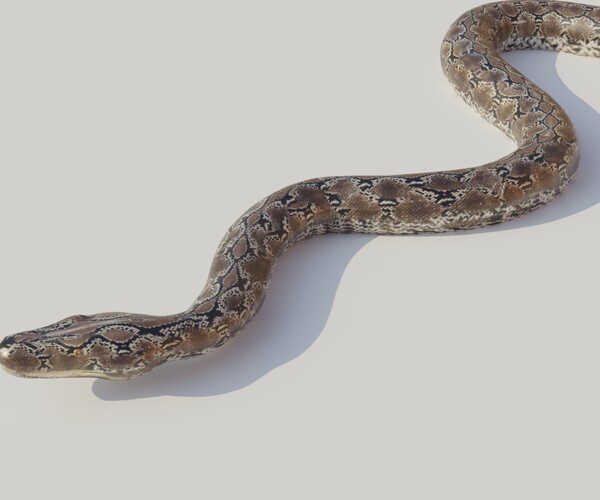 ArtStation - Rigged python 3D model | Resources