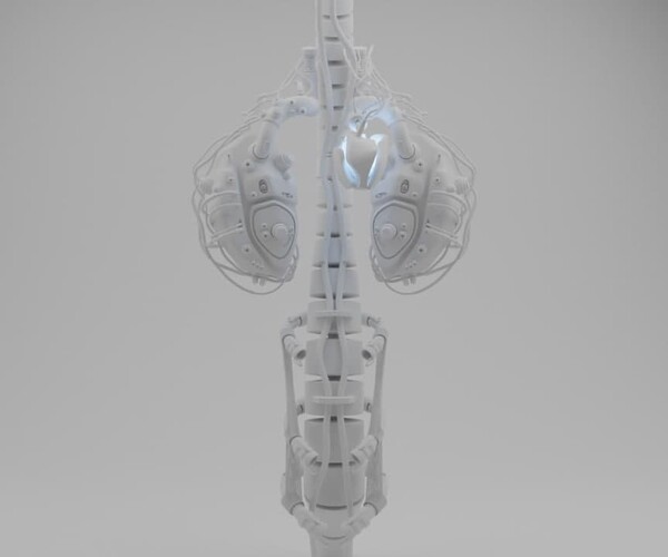 ArtStation - Cyber Body | Resources