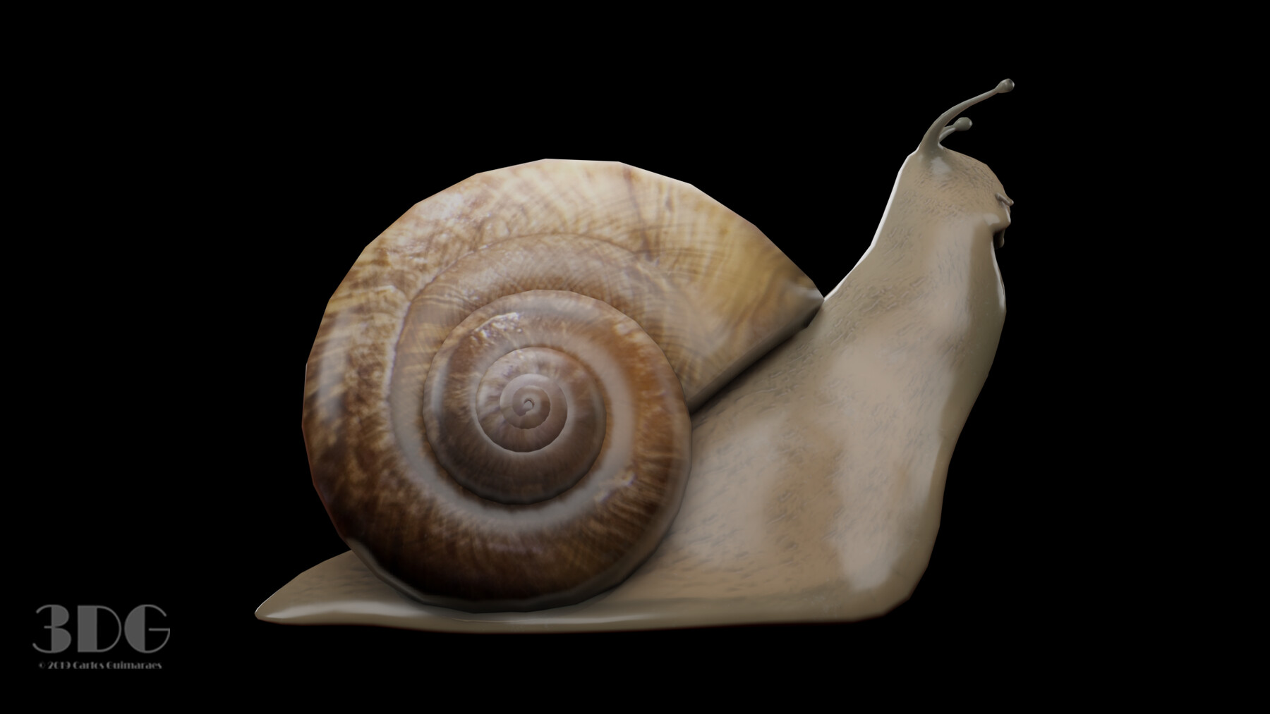 ArtStation - Snail | Game Assets
