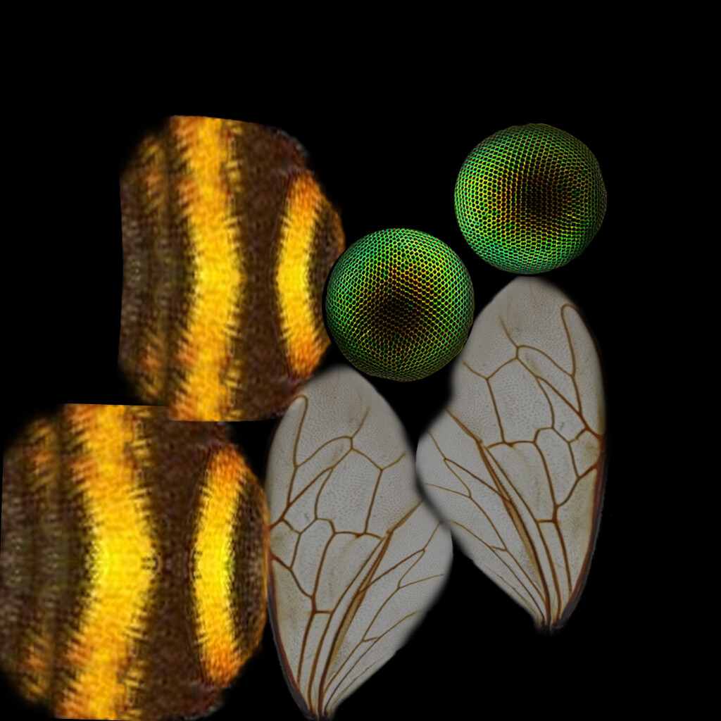 ArtStation - BEE | Resources