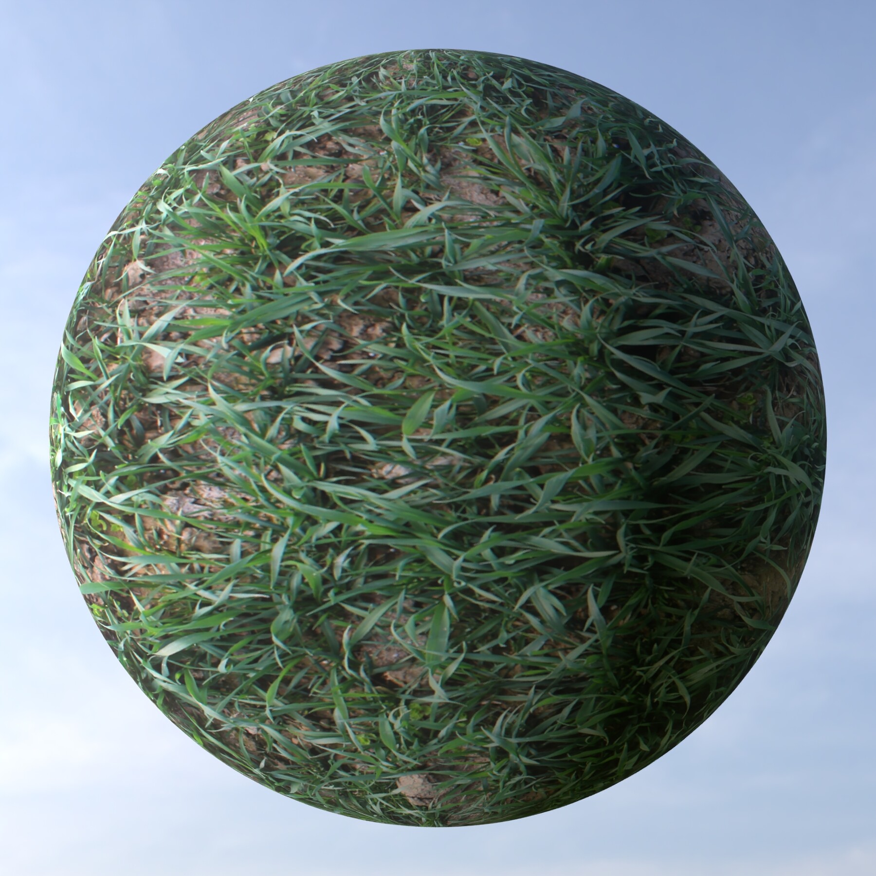 ArtStation - Grass 4 PBR Material | Game Assets