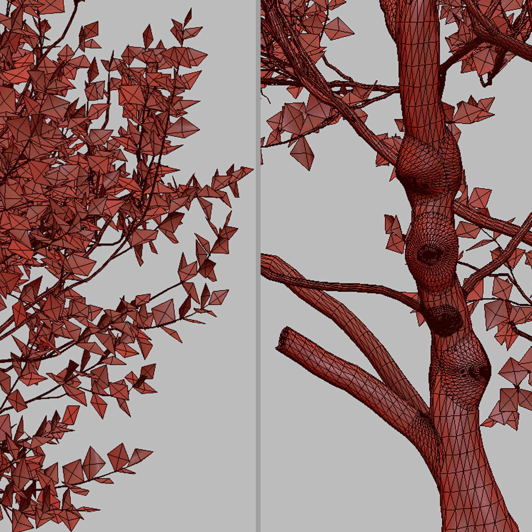 ArtStation - Set of Cotinus Grace Trees (Smoke Tree) (2 Trees) | Resources