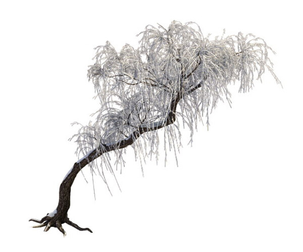 ArtStation - Winter snow - tree | Game Assets