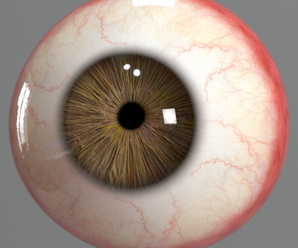 ArtStation - Realistic Eye | Resources