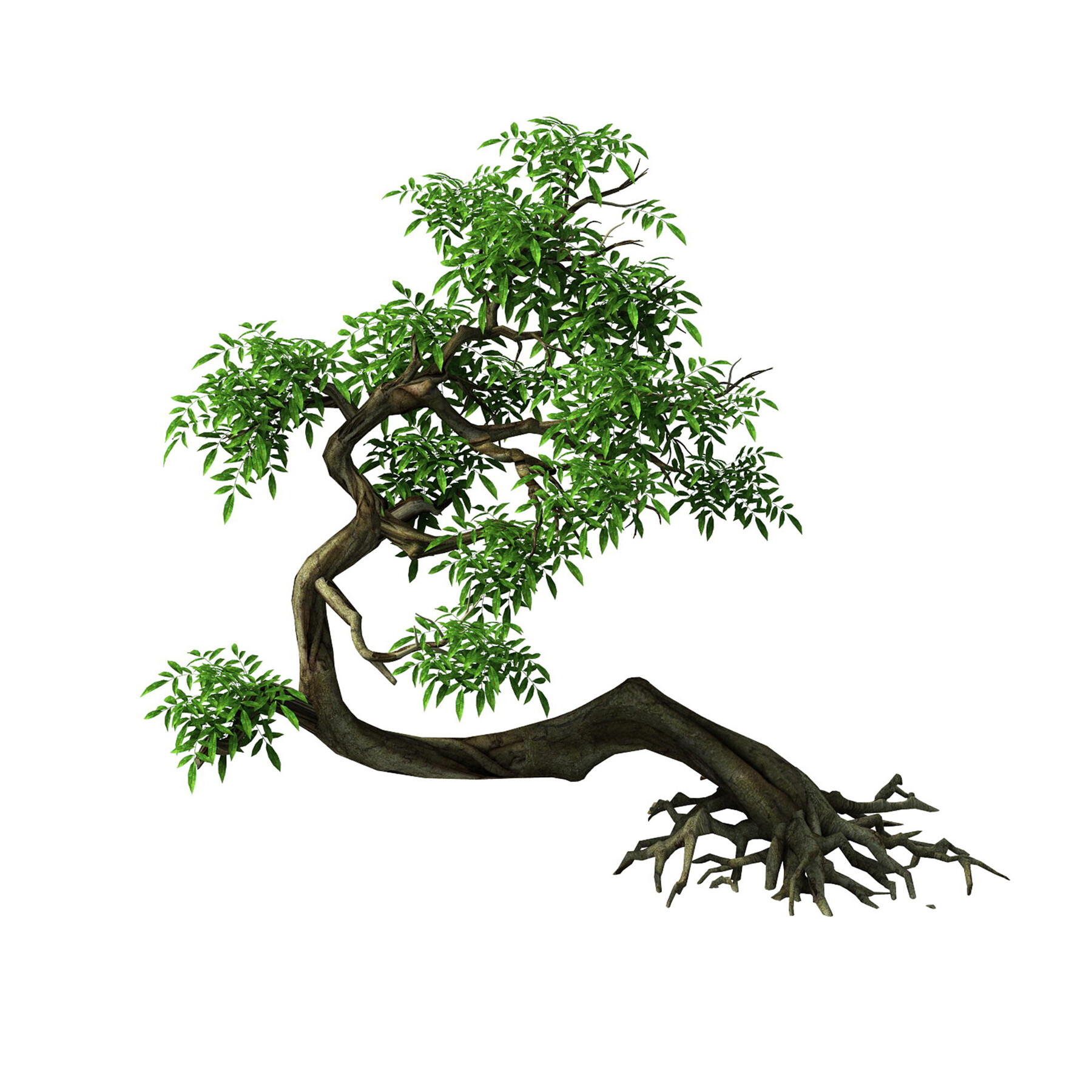 ArtStation - Plant - Green Tree 4 | Game Assets