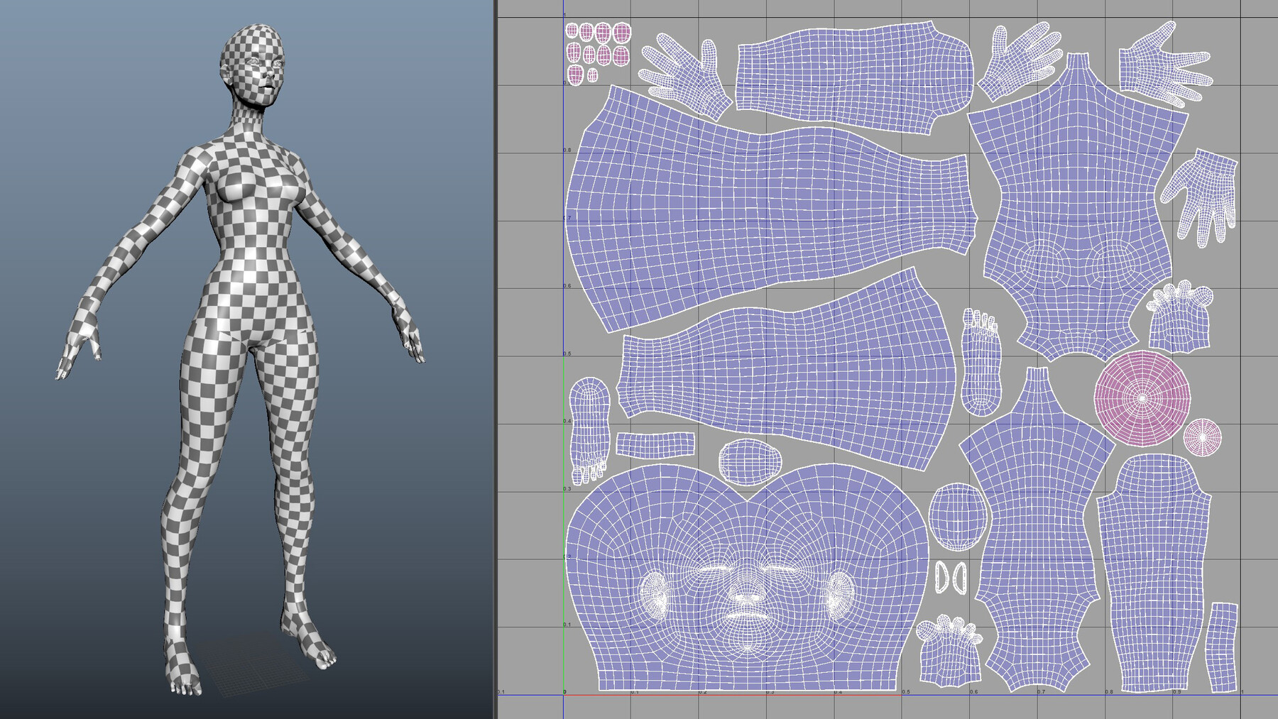 ArtStation - Full Female Body topology and UV map | Artworks