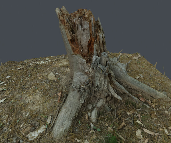 ArtStation - Broken tree_0002(Photogrametry.Photoscan.obj,Photo ...