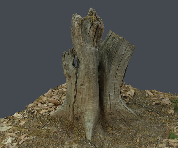 ArtStation - Broken tree_0003(Photogrametry.Photoscan.obj,Photo ...